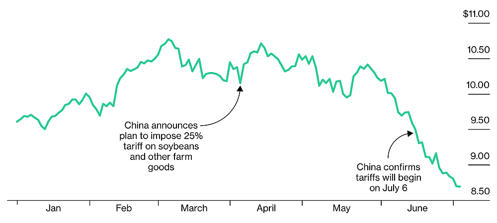 Global Trade and Environmental Impacts of Soybeans | GreenChoice
